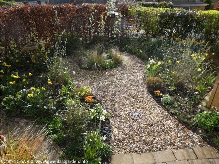 Front garden: Spring 2020 overview, in pictures – Gwenfar's Garden and ...