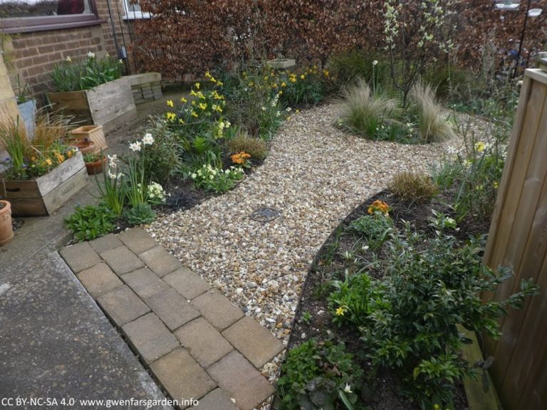 Front garden: Spring 2020 overview, in pictures – Gwenfar's Garden and ...