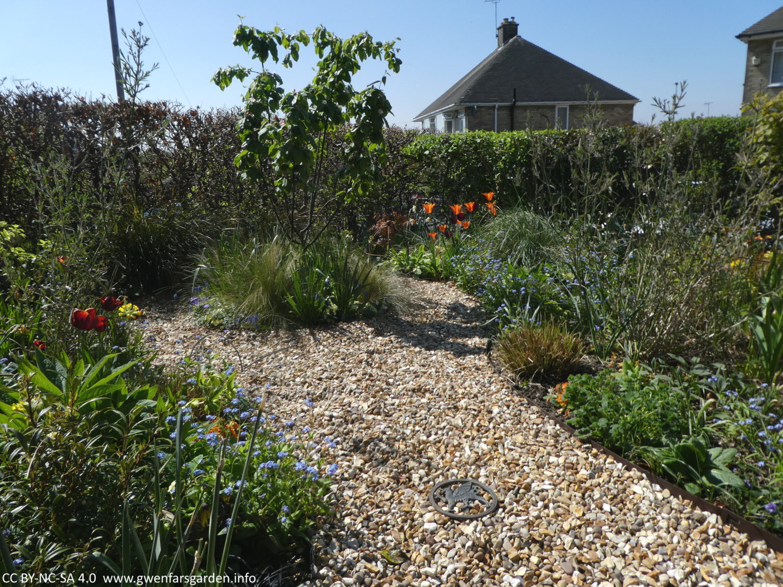 Front garden: Spring 2020 overview, in pictures – Gwenfar's Garden and ...