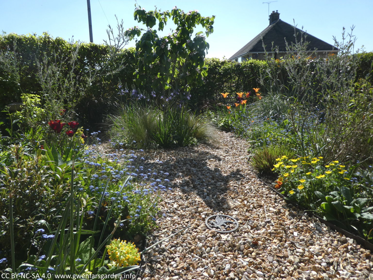 Front garden: Spring 2020 overview, in pictures – Gwenfar's Garden and ...