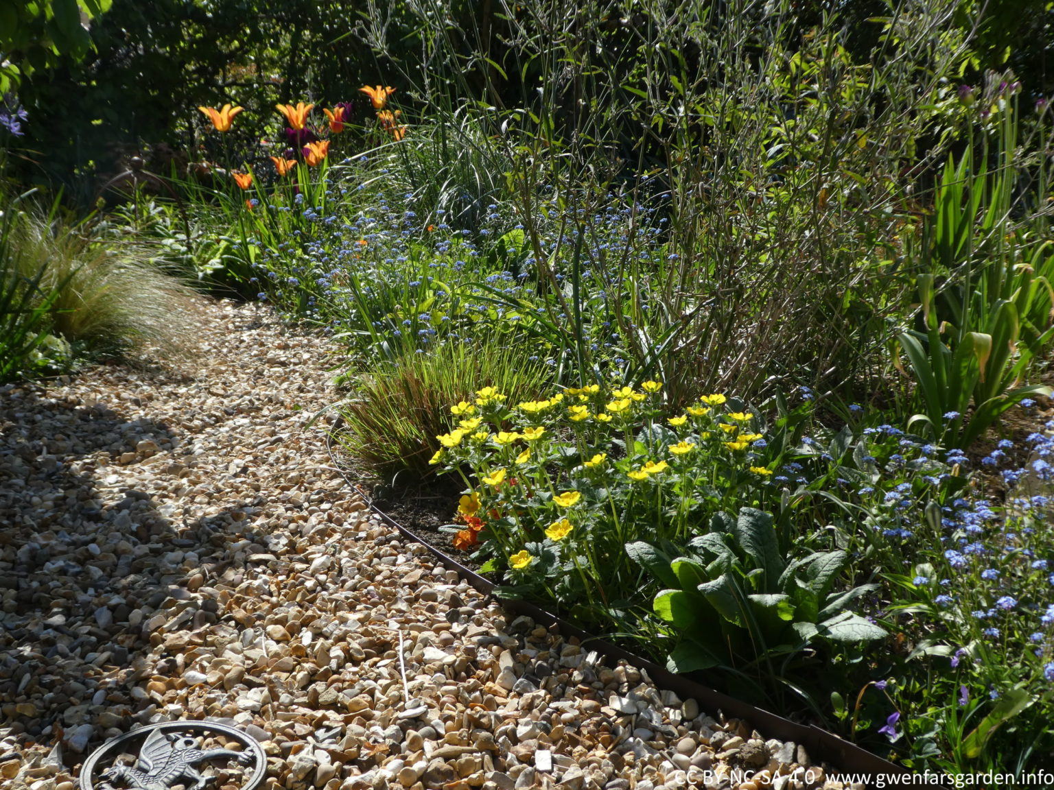Front garden: Spring 2020 overview, in pictures – Gwenfar's Garden and ...