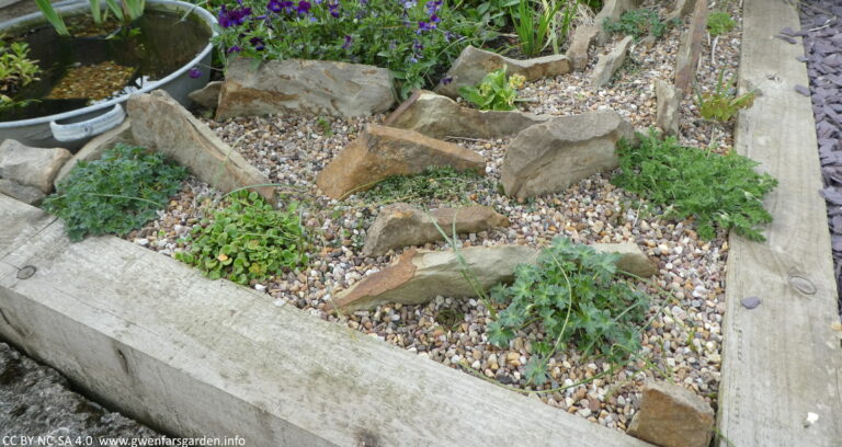 Creating an alpine scree bed – Gwenfar's Garden and other musings